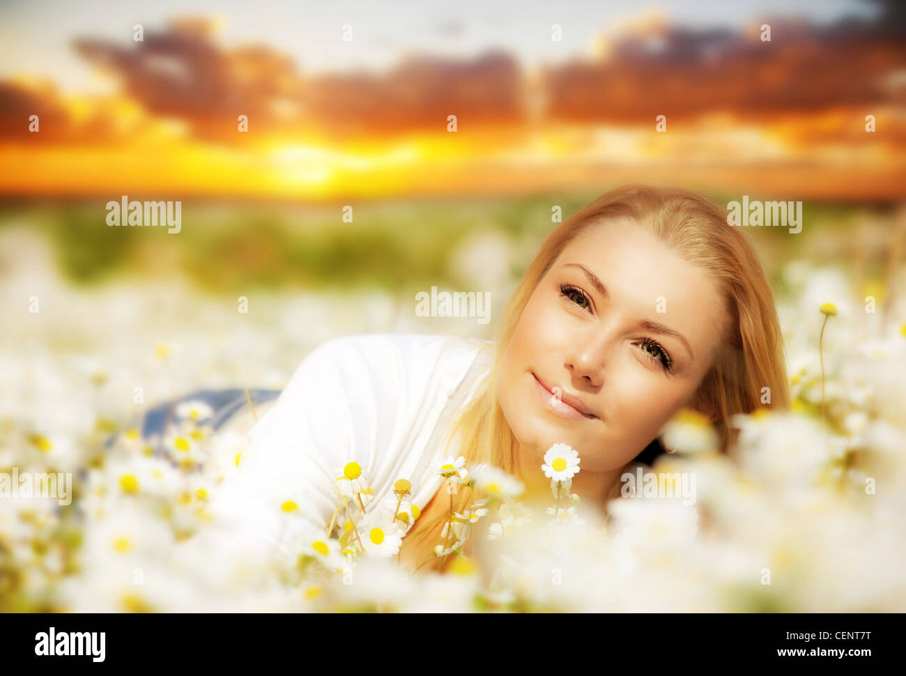 Beautiful Woman Enjoying Daisy Field At Sunset Nice Female Lying Down