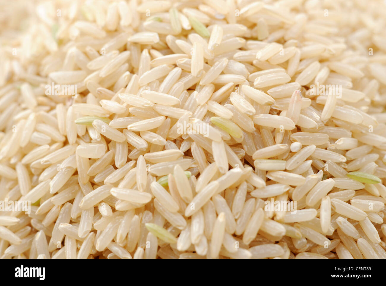 A close up of long grain rice Stock Photo - Alamy