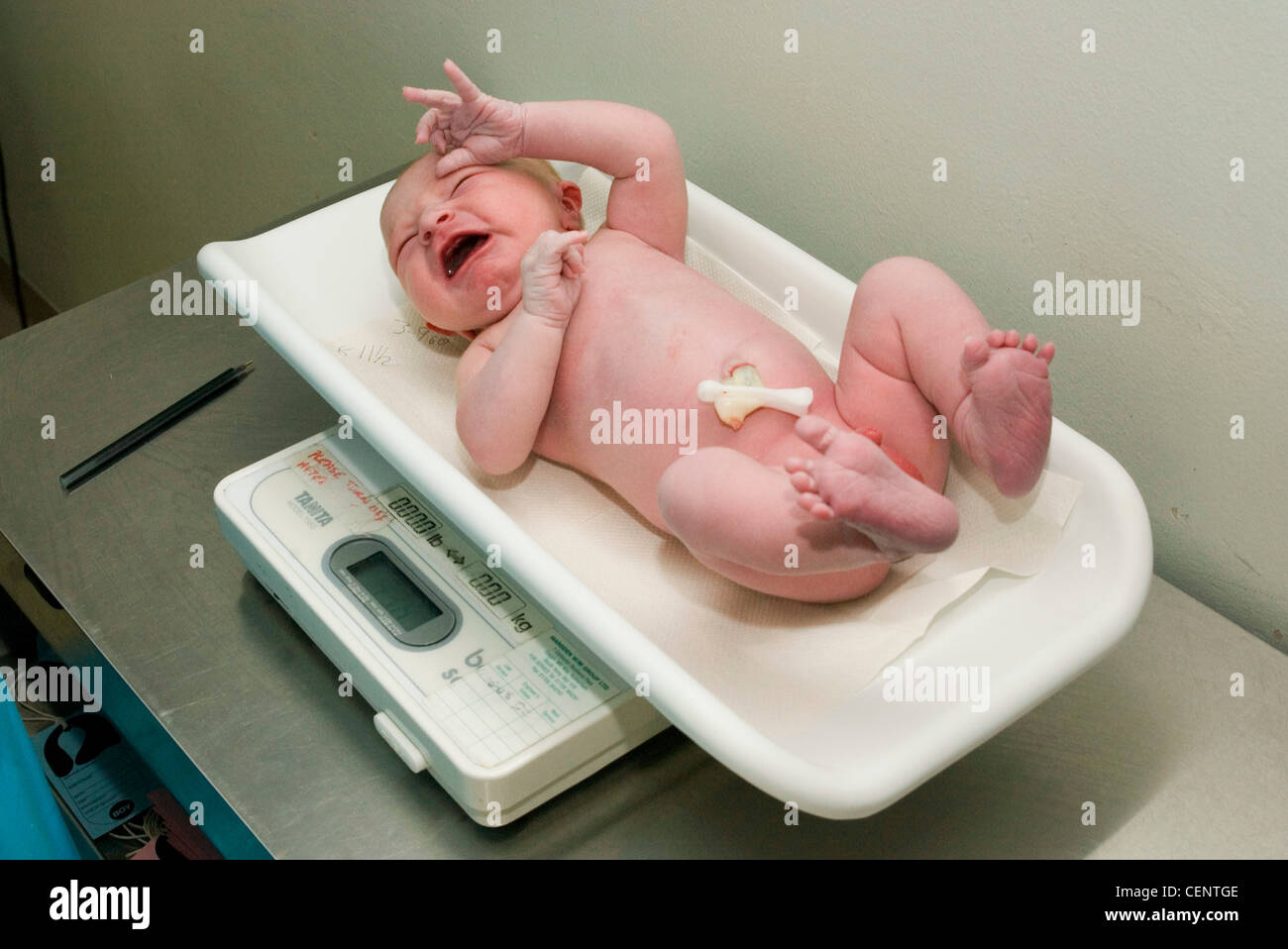 Newborn baby on a white scale, crying Stock Photo - Alamy