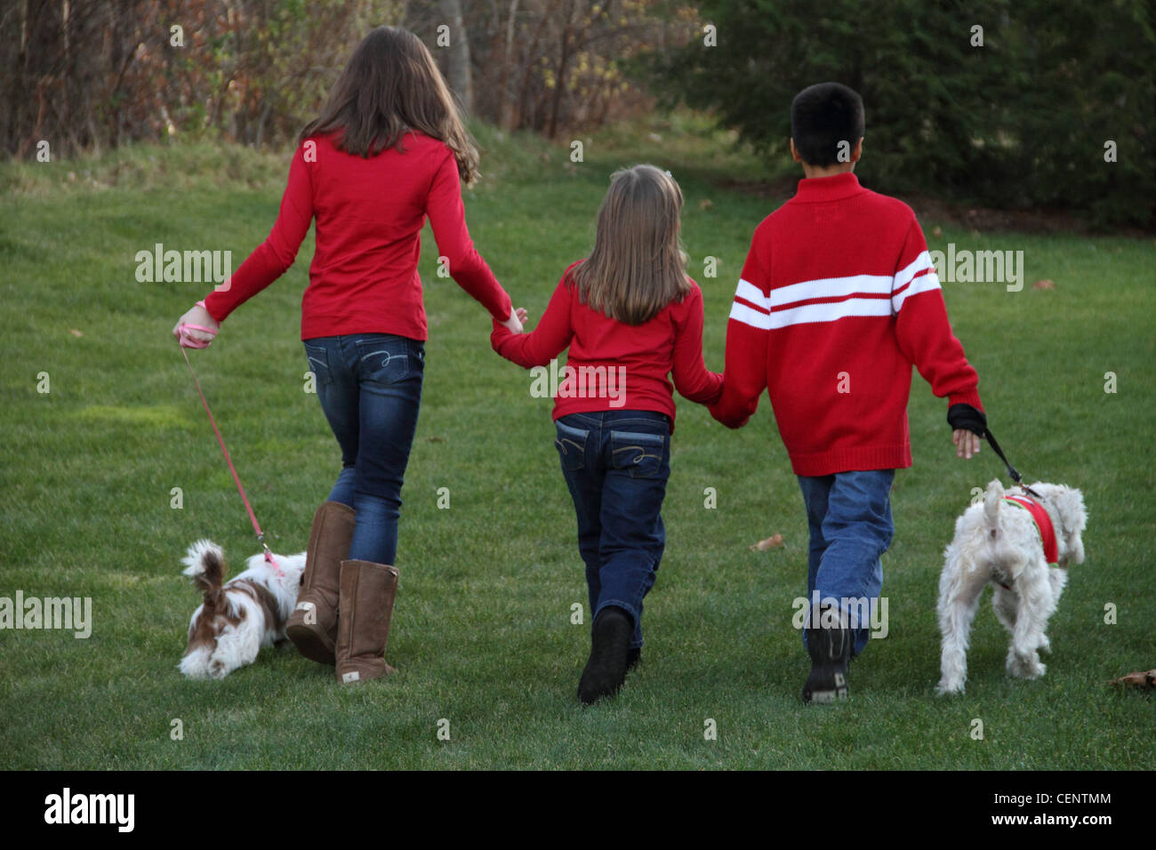 kids walking dogs in the park Stock Photo - Alamy