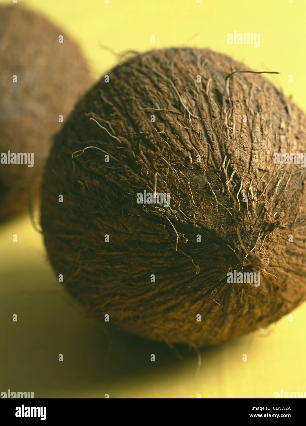 Whole coconuts on yellow surface Stock Photo - Alamy