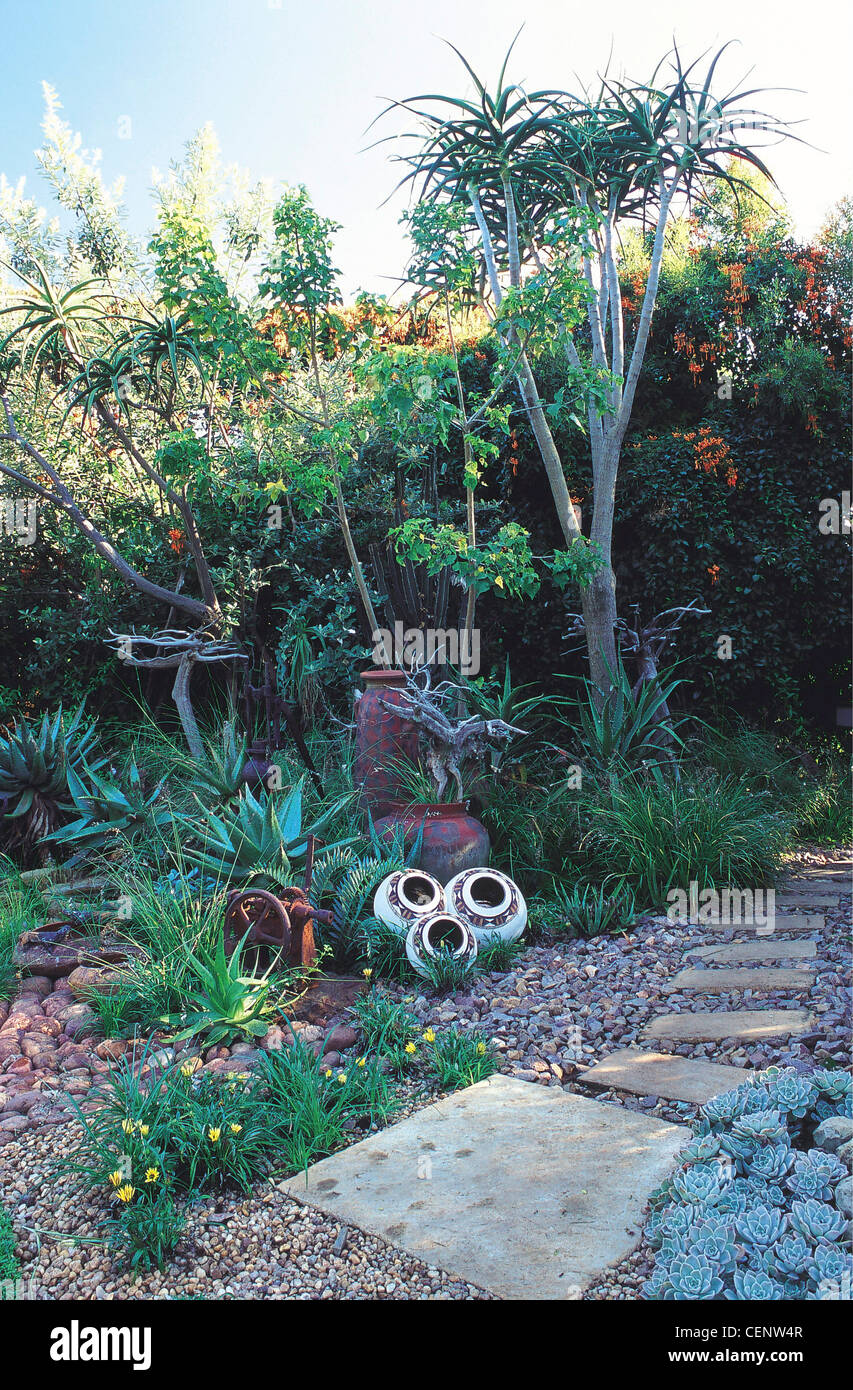 African Gardens: Every gardener needs a special plant that stops ...