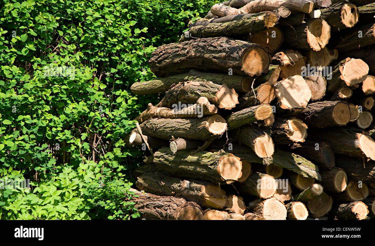Time stack hi-res stock photography and images - Alamy