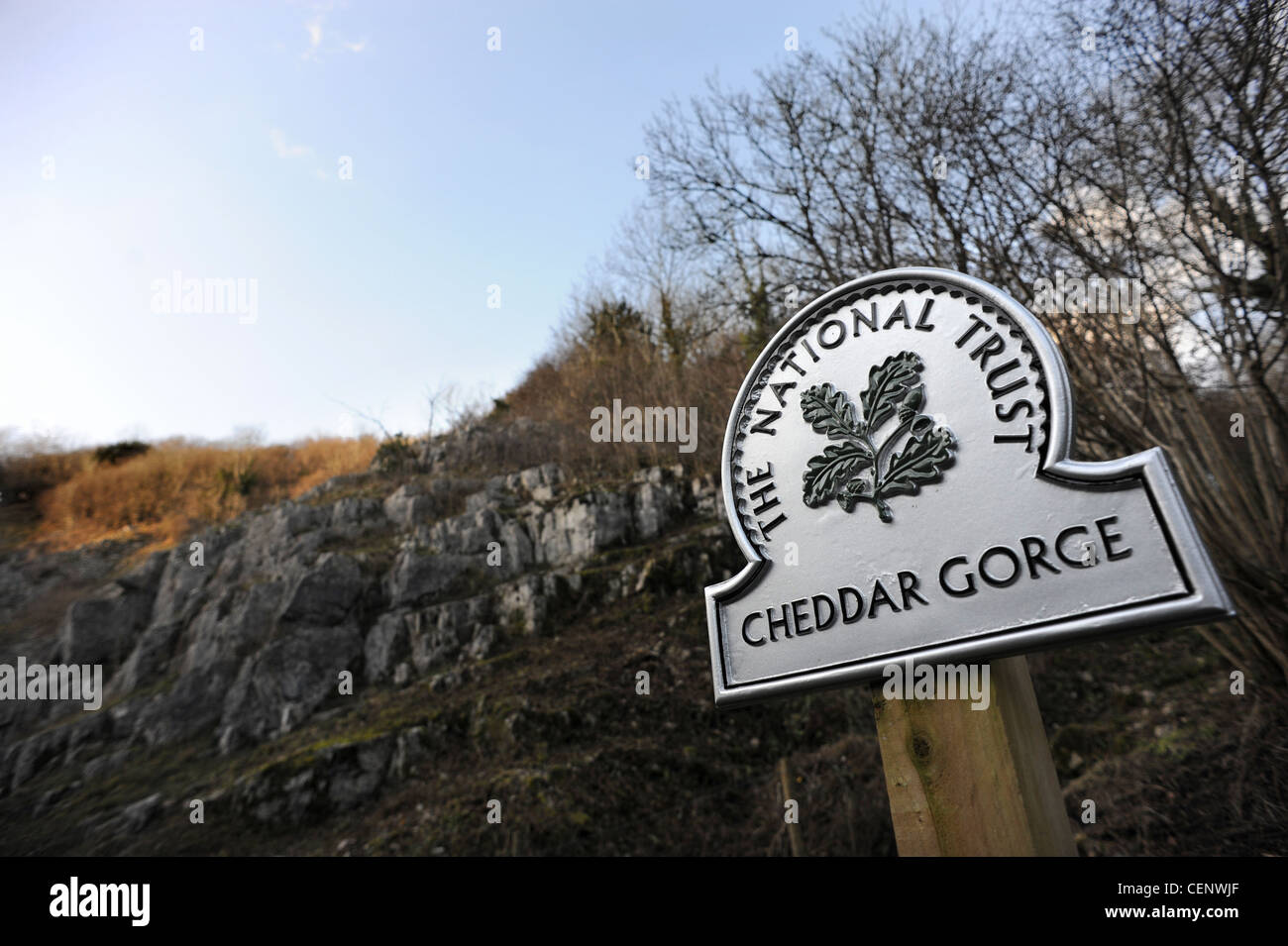 Cheddar Gorge High Resolution Stock Photography and Images - Alamy