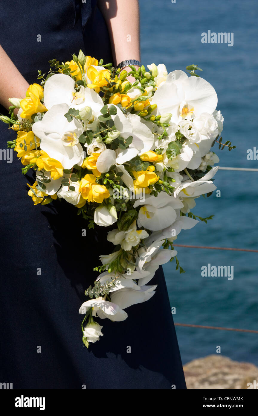 Stonehouse photographic hi-res stock photography and images - Alamy