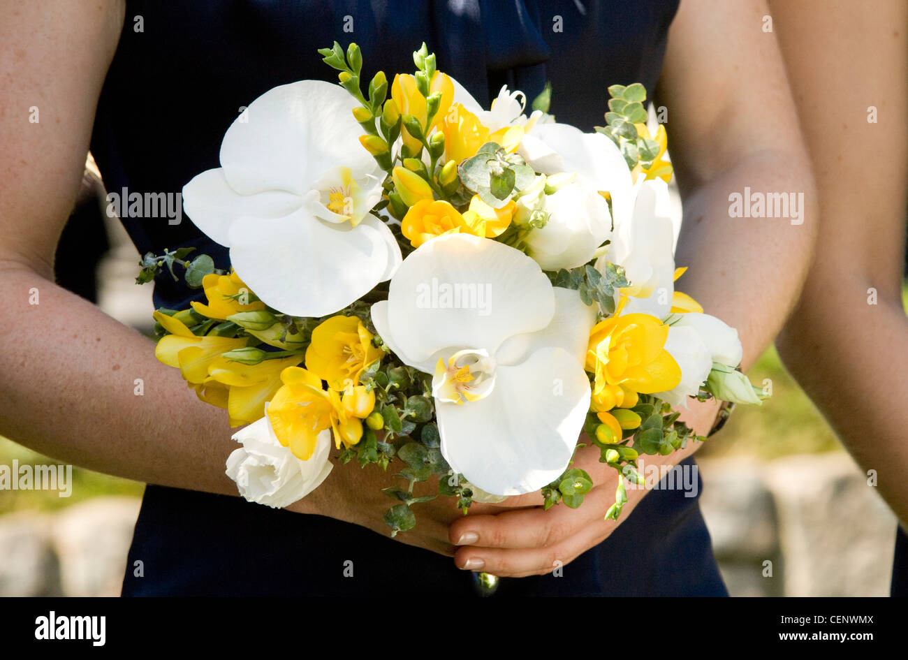 Stonehouse photographic hi-res stock photography and images - Alamy