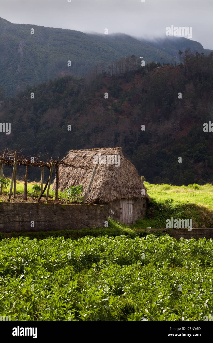 Farm Landscape of the Interior of Madeira Island Stock Photo - Alamy