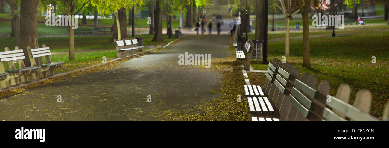 Boston common park bench hi-res stock photography and images - Alamy