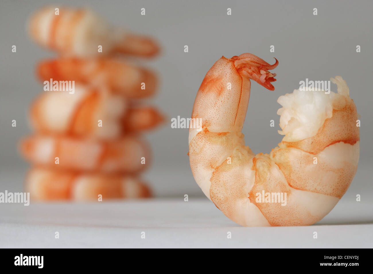 Stack of prawns with single prawn Stock Photo - Alamy