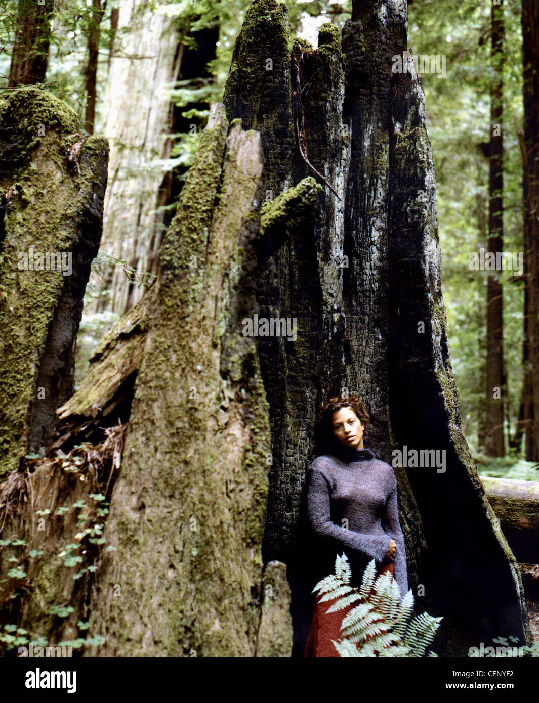 Female leaning up against a large dead tree Stock Photo - Alamy