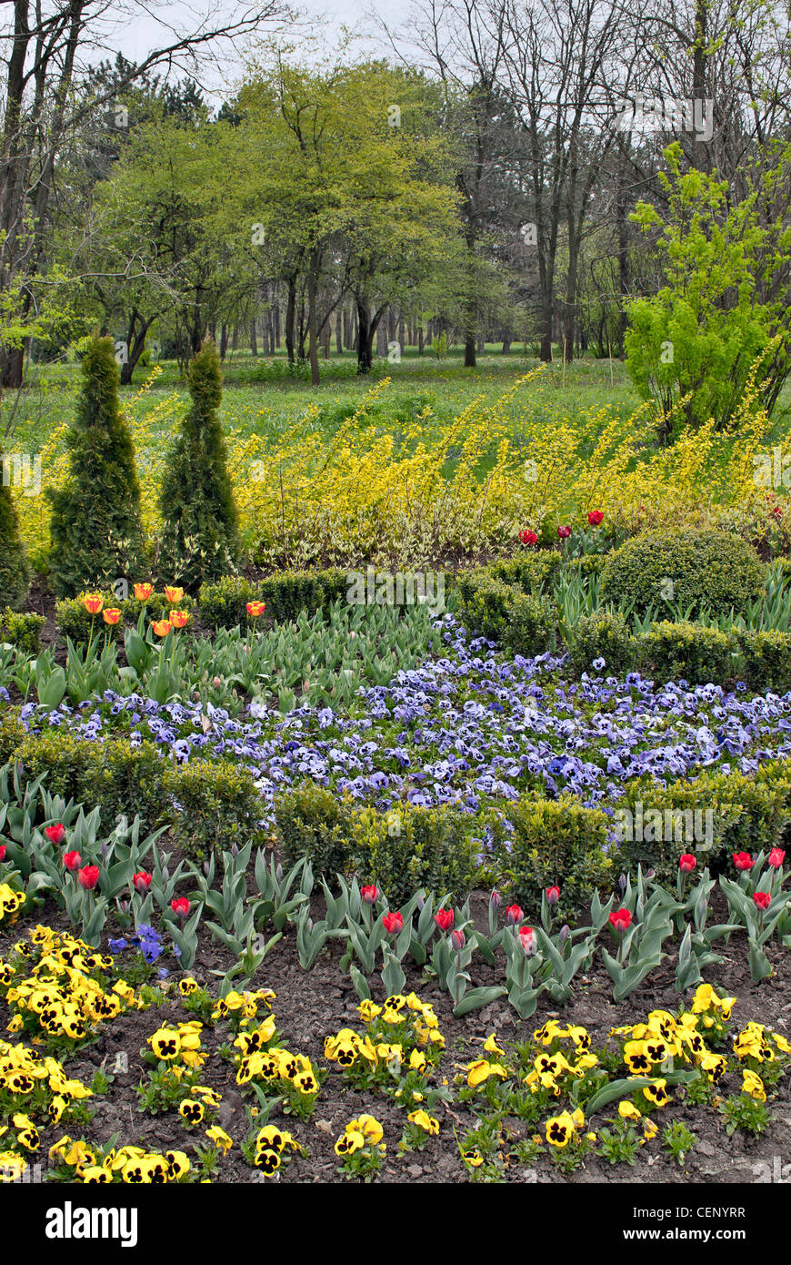 Flower bed in spring garden Stock Photo - Alamy