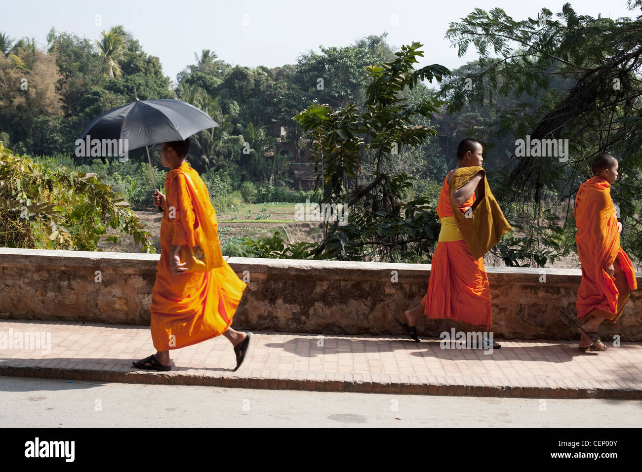 Monks in Loas Stock Photo - Alamy