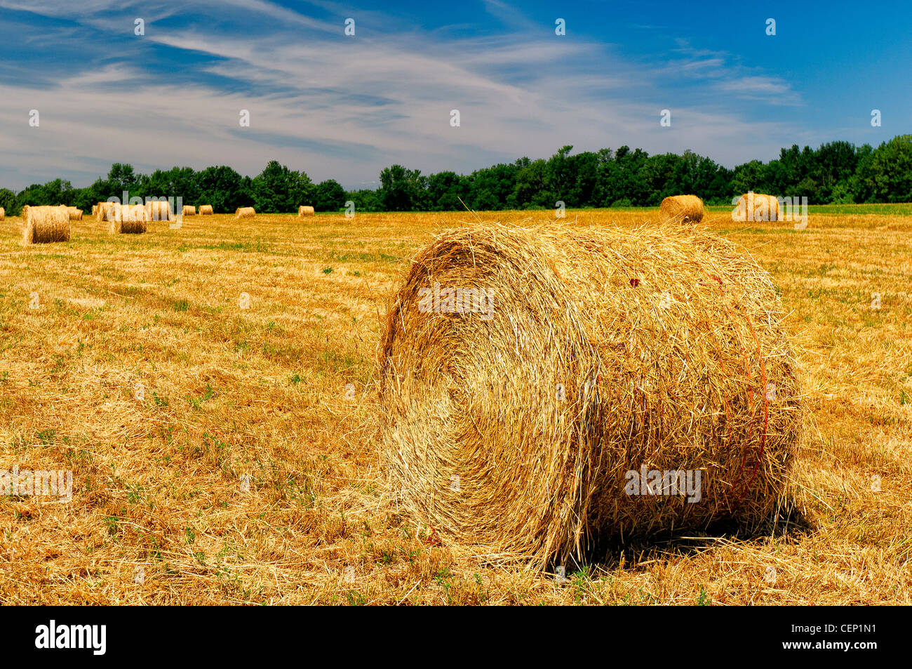 Niagara agriculture hi-res stock photography and images - Alamy
