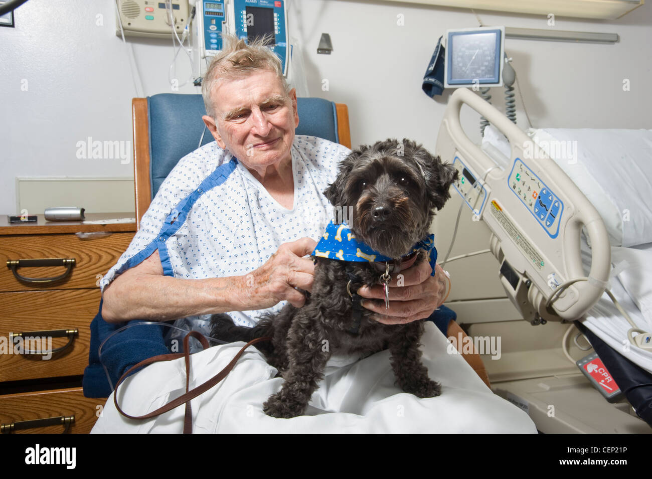 What To Do With Dog When Owner In Hospital at Georgia Farber blog
