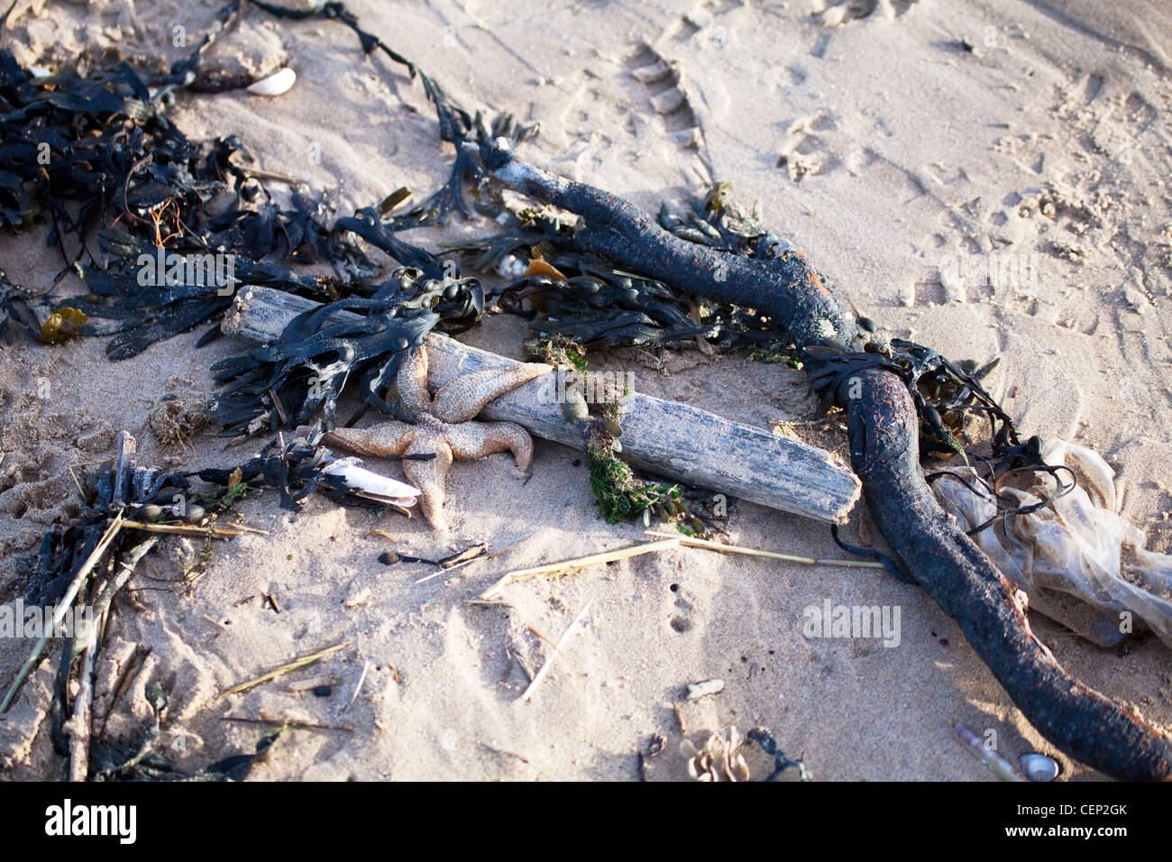 Flotsam and jetsam hi-res stock photography and images - Alamy