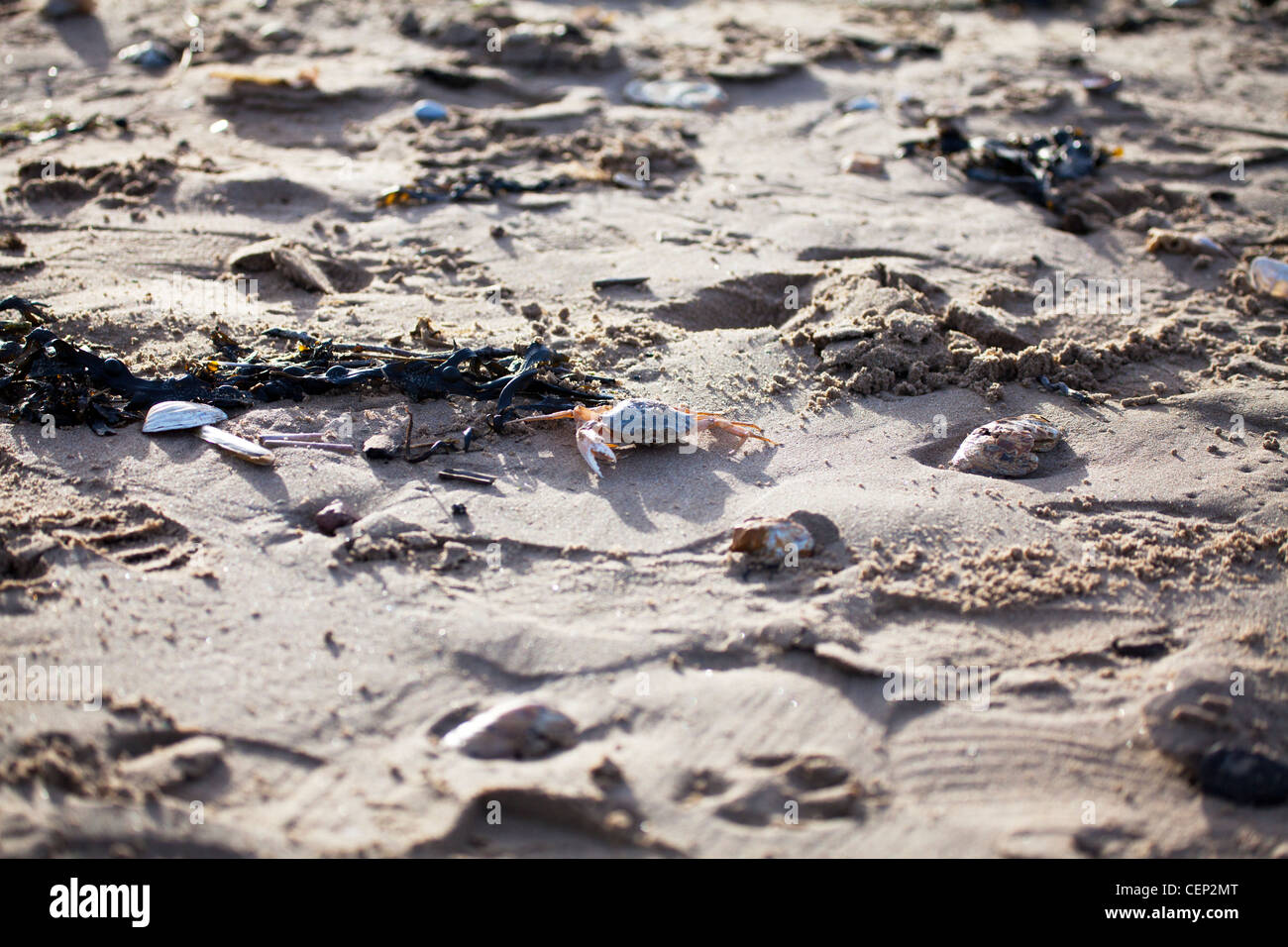 Flotsam and jetsam hi-res stock photography and images - Alamy