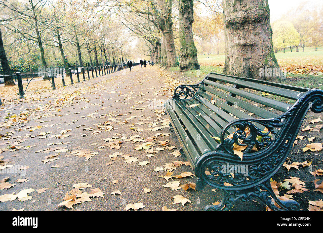 Park in autumn with a lone bench Stock Photo - Alamy