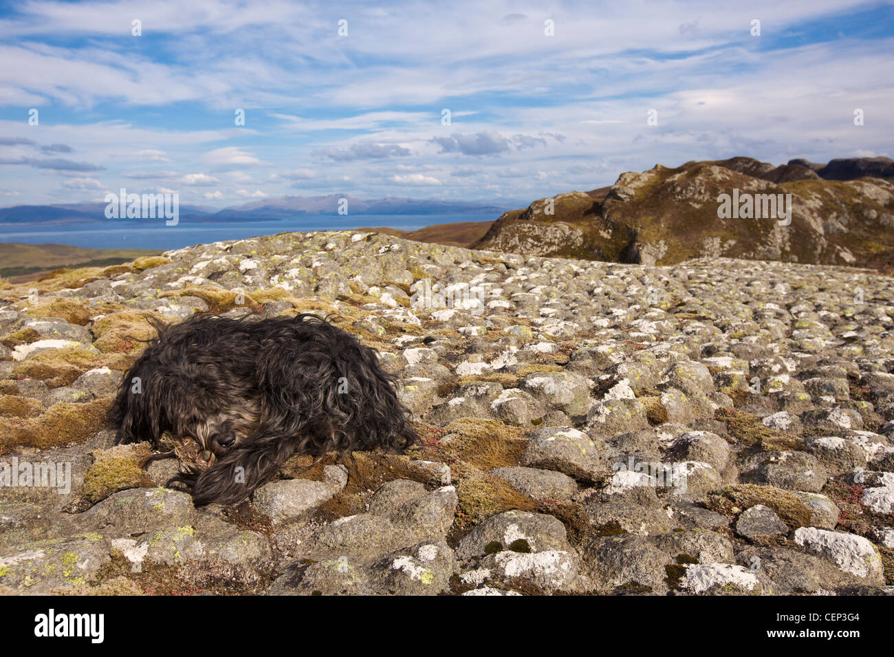 Pitchstone hi-res stock photography and images - Alamy