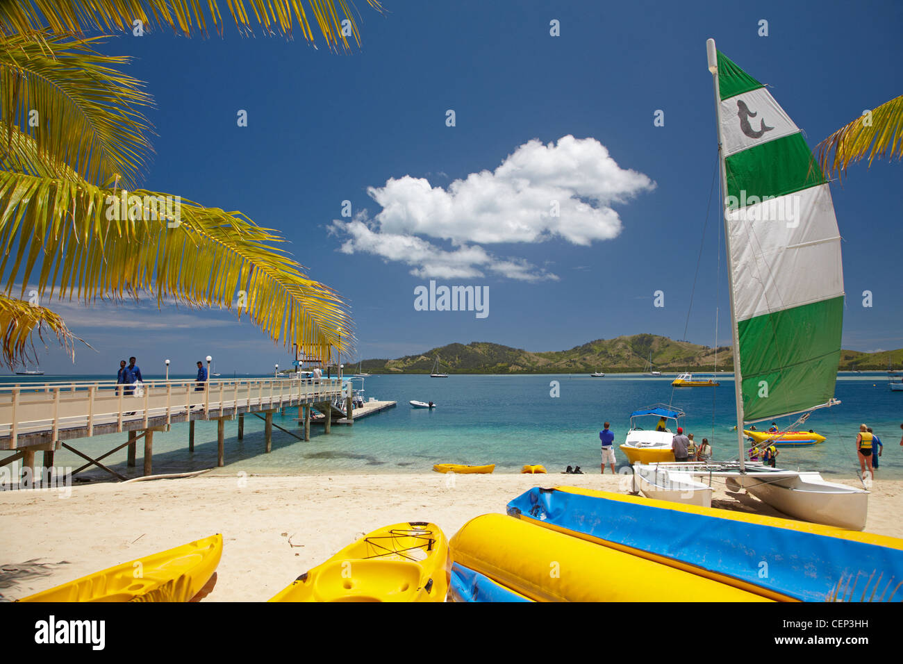 Malolo cat hi-res stock photography and images - Alamy