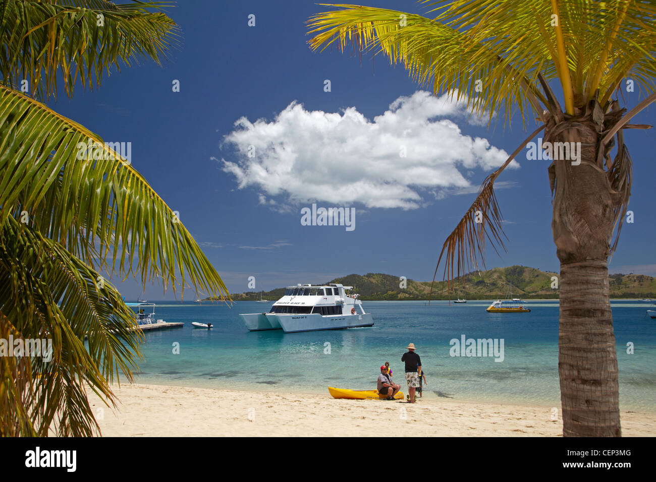 Ferry plantation hi-res stock photography and images - Alamy