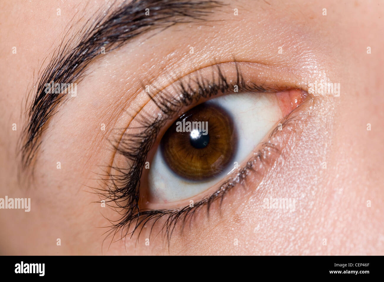 Female wearing minimal natural style make up, close up on eye Stock ...