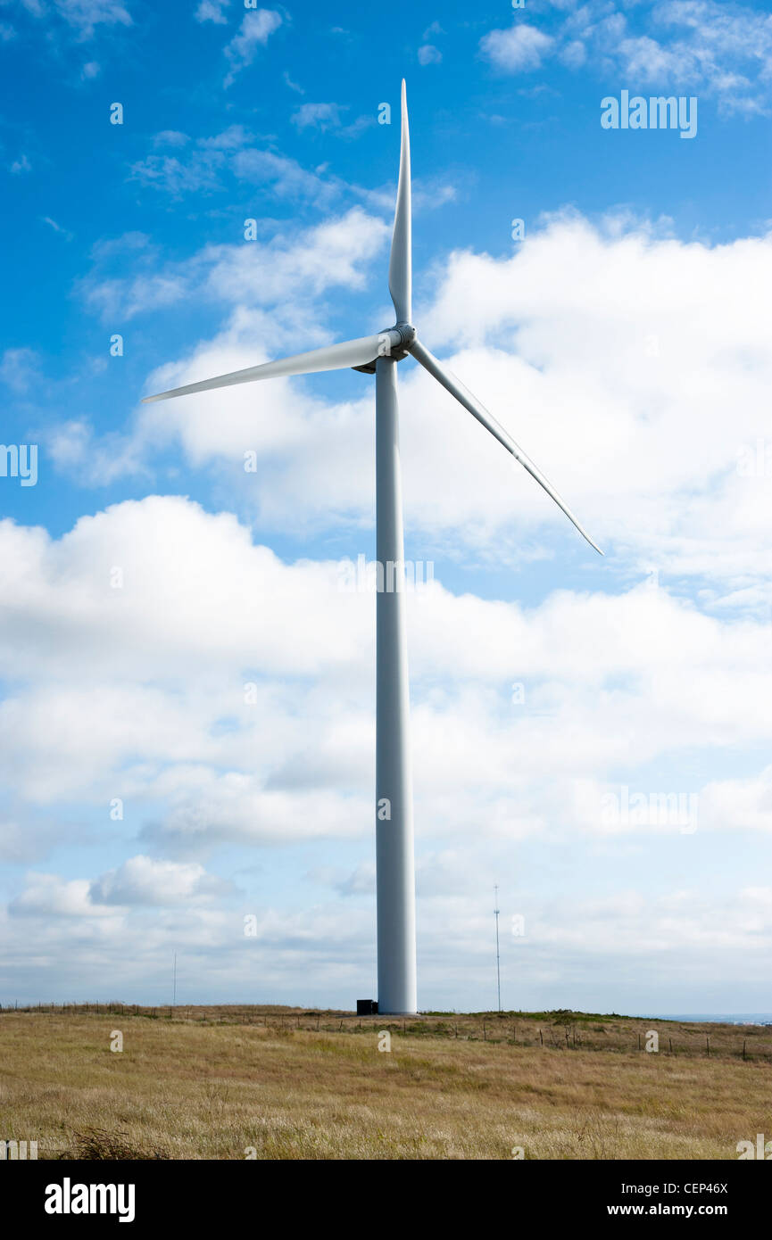 Wind dodge hi-res stock photography and images - Alamy