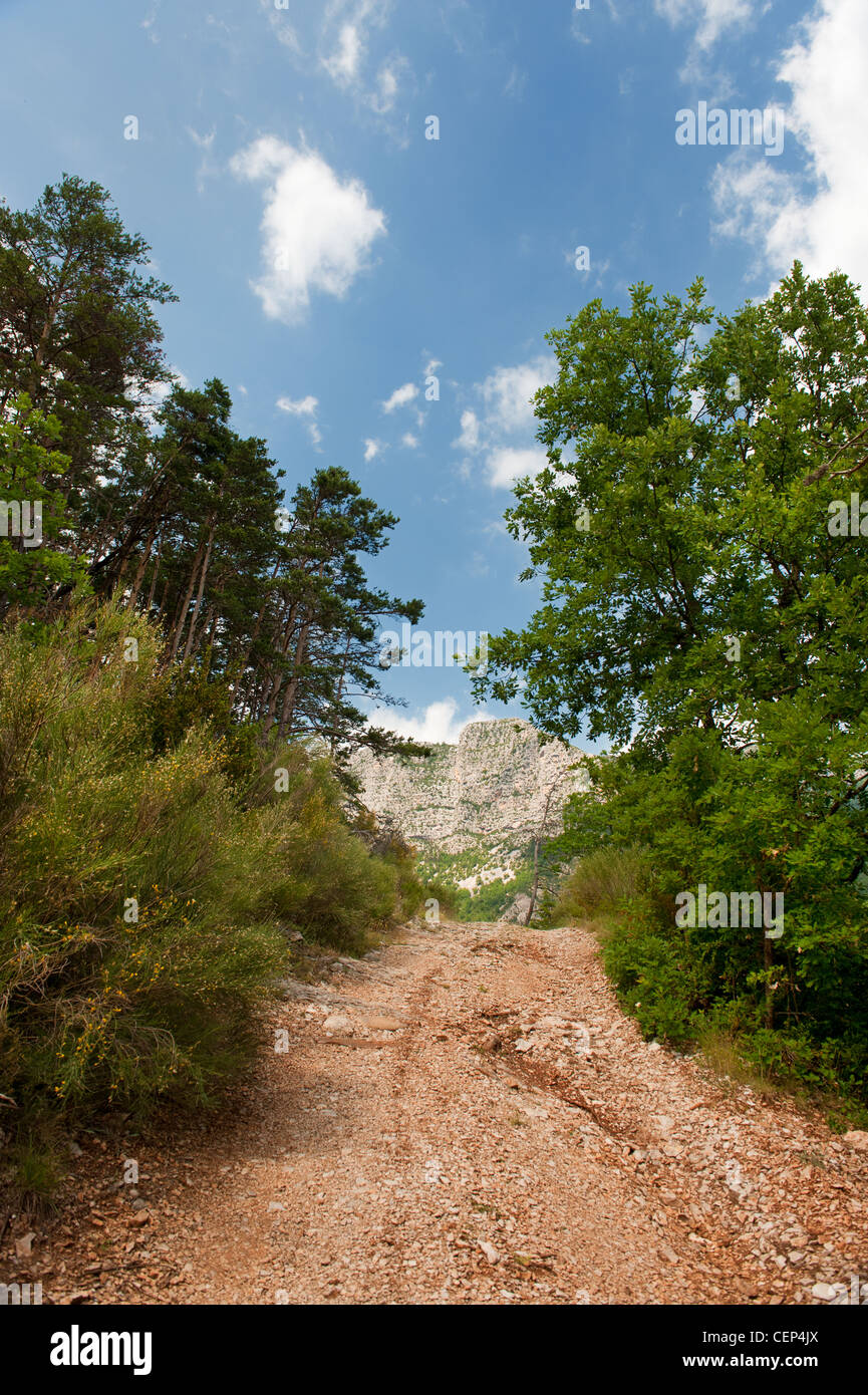 Nature landscape with walking path and high rocks in the Haute Provence ...