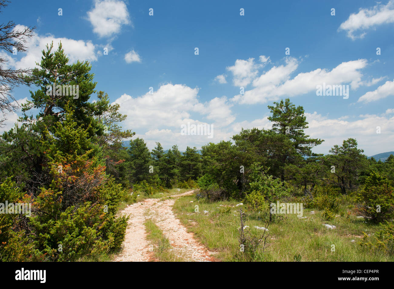 nature landscape with path in summer Haute Provence in France Stock ...