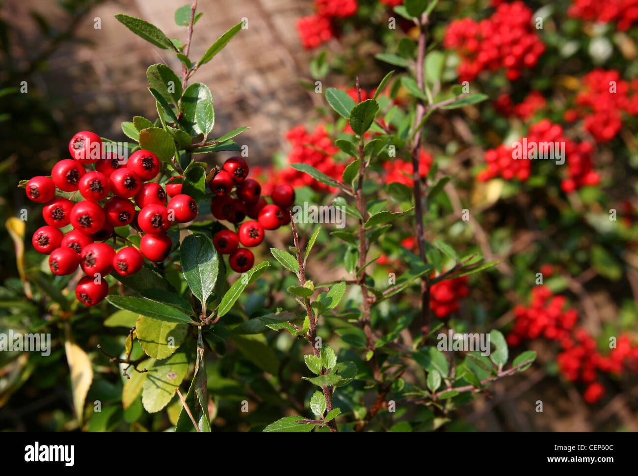 Red column hi-res stock photography and images - Alamy