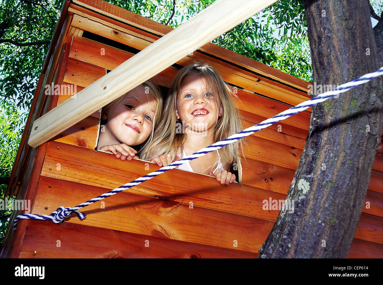 FORBuild a Tree House Children looking out of the window of the tree ...