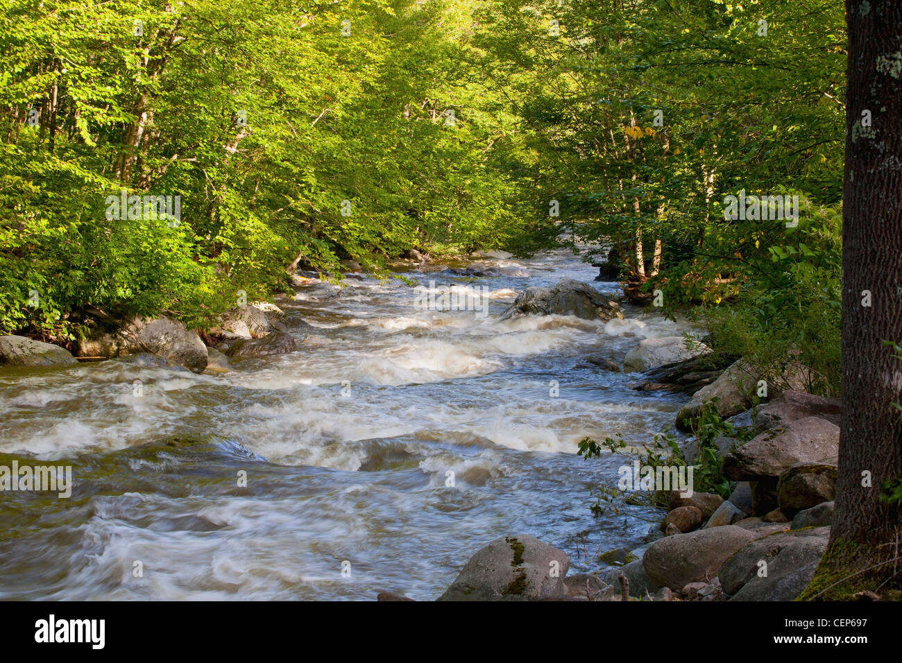 water flowing in duncan river; duncan, quebec, canada Stock Photo - Alamy