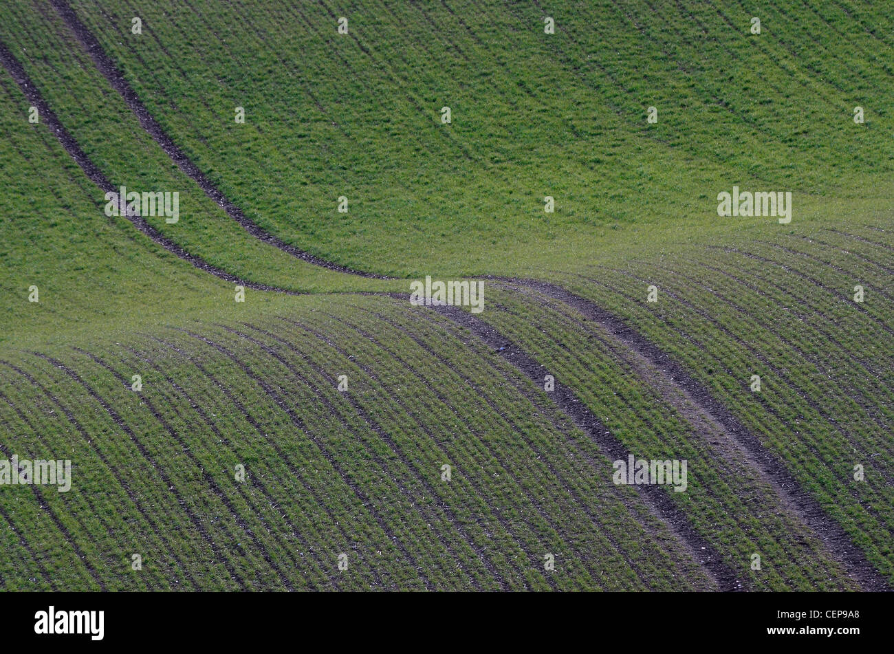 Undulating hi-res stock photography and images - Alamy