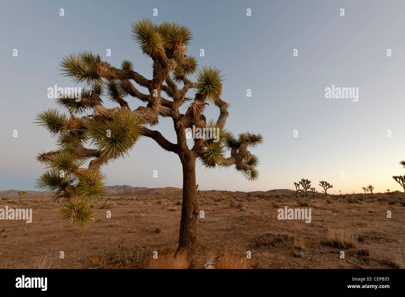Crepuscular landscape symbolic hi-res stock photography and images - Alamy