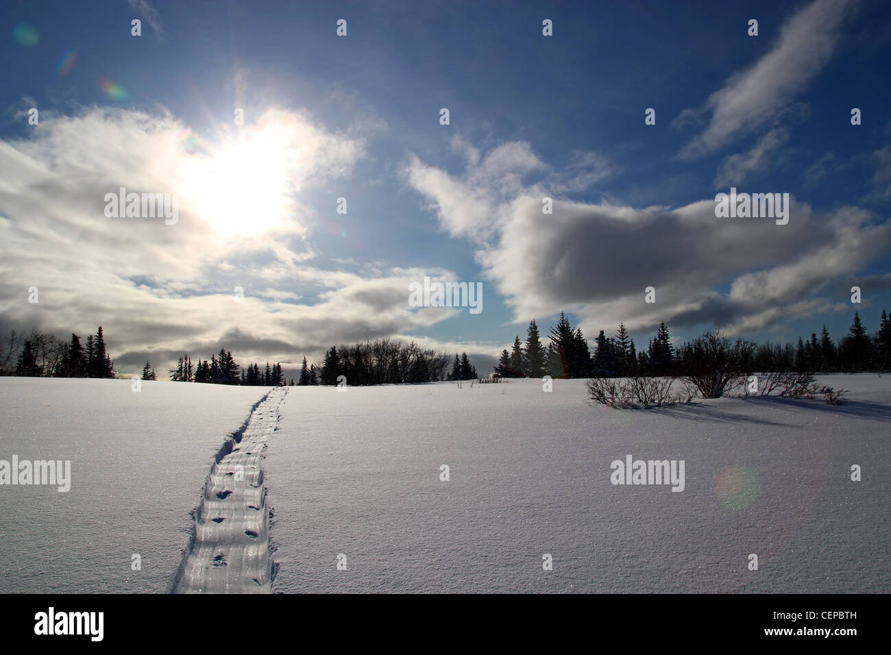 Winter scene in rural Alaska with sun in the clouds, blue sky, and a ...