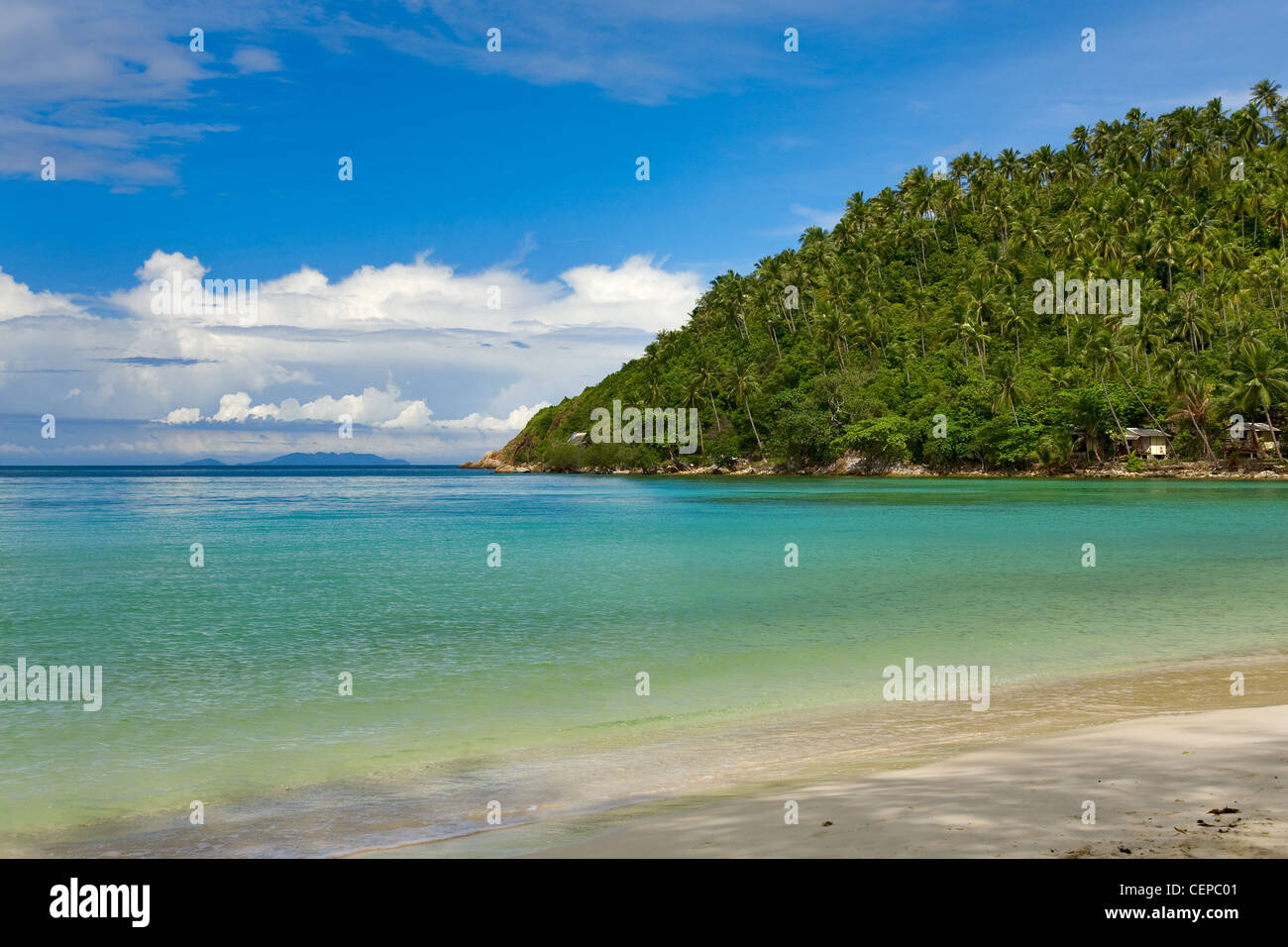sea and beach with coconut palm on Haad Salat Beach in Koh Pangan ...
