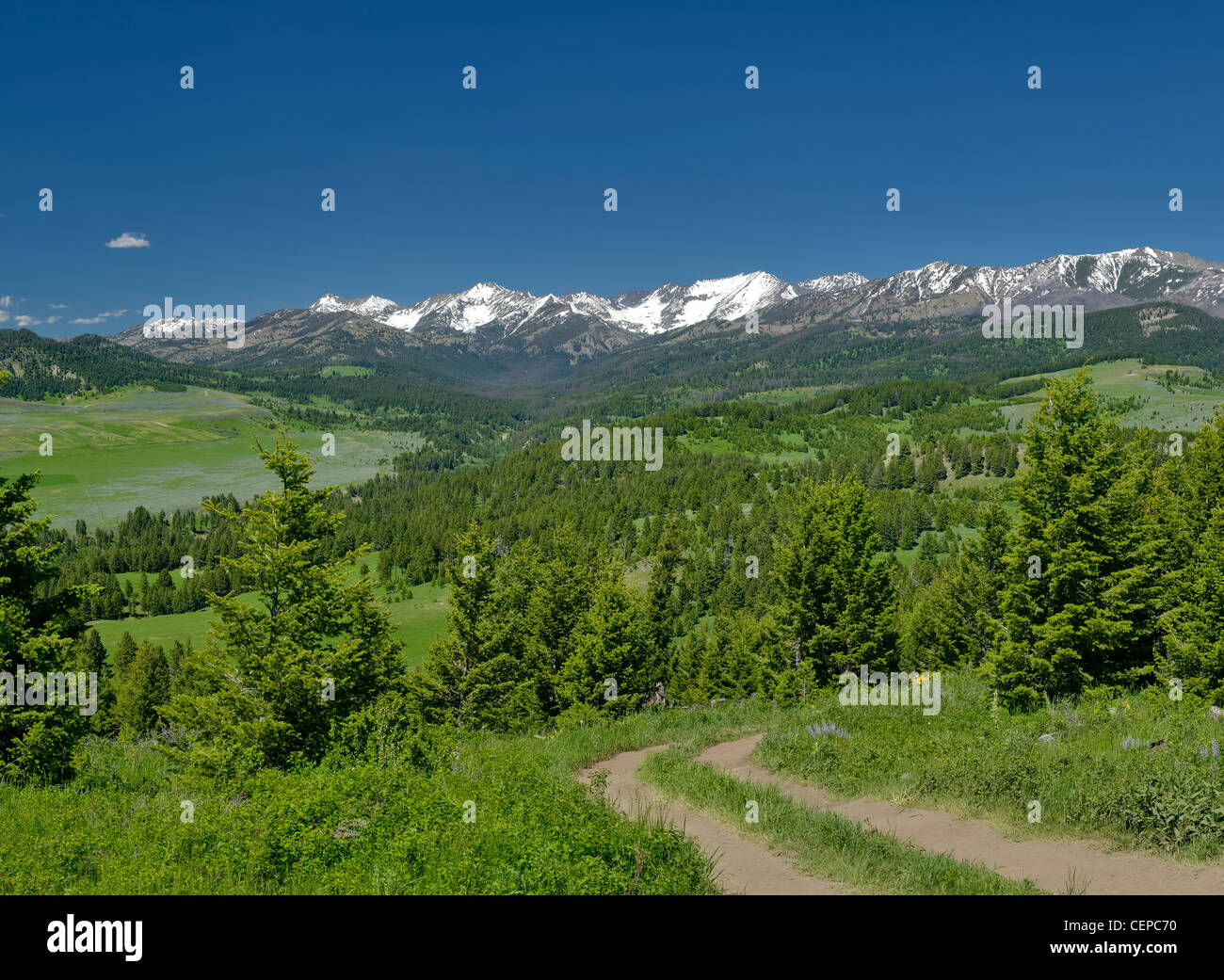 Crazy Mountain View from High Plateau above the Crazy Mountain Ranch ...