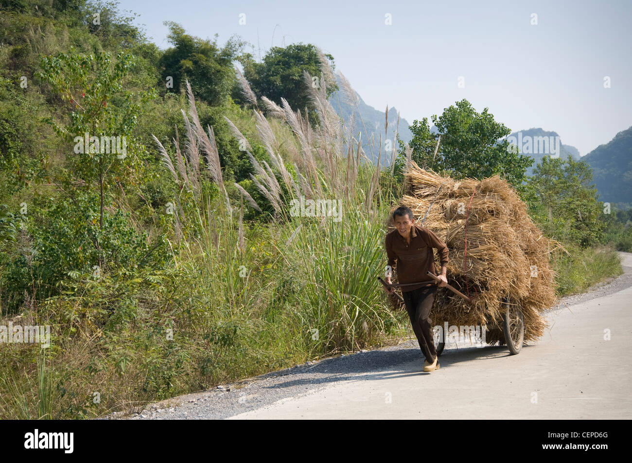 Man Carting Hay Down A Road; Guangxi Zhuang,China Stock Photo - Alamy