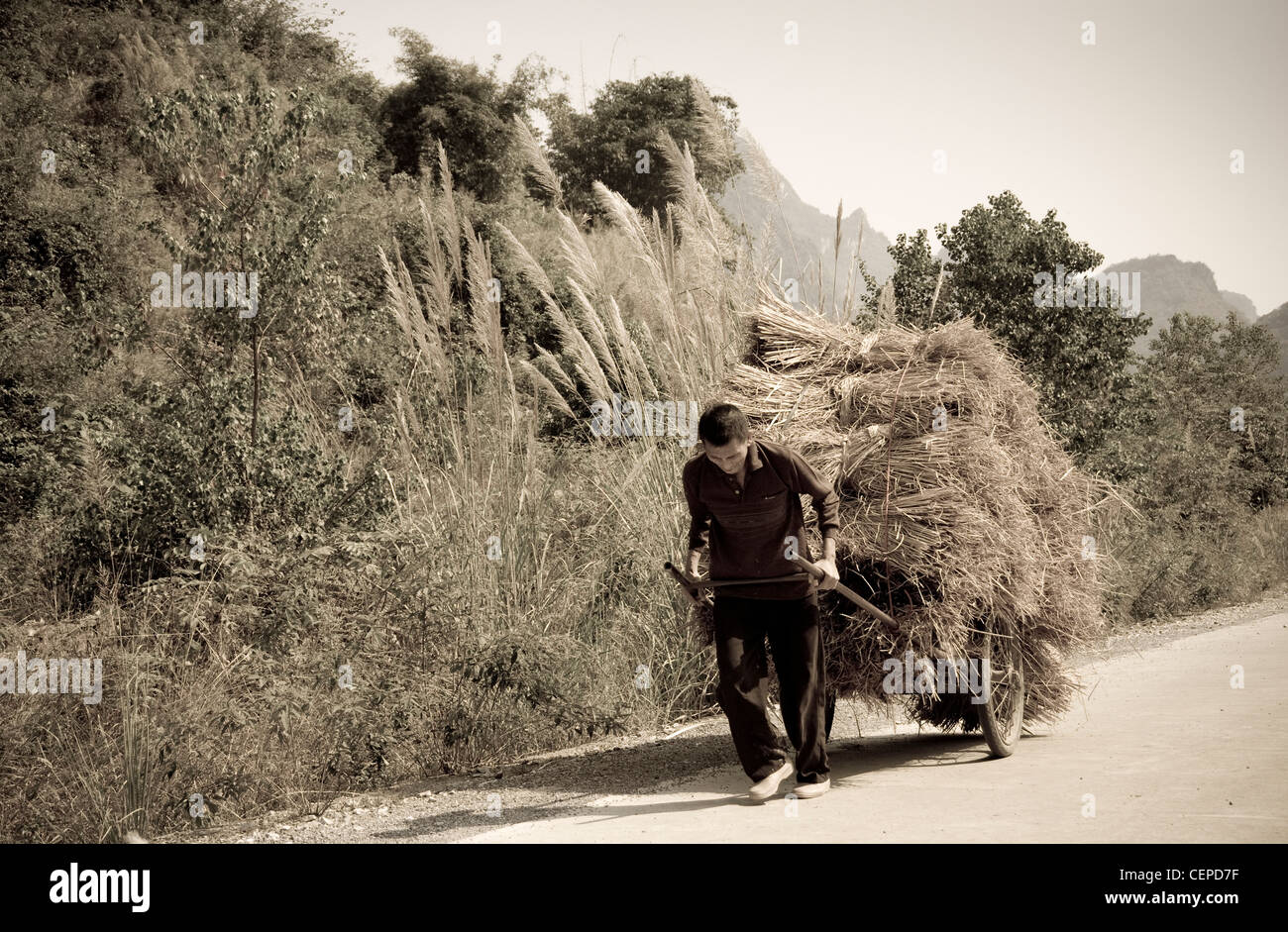 Man Carting Hay Down A Road Stock Photo - Alamy