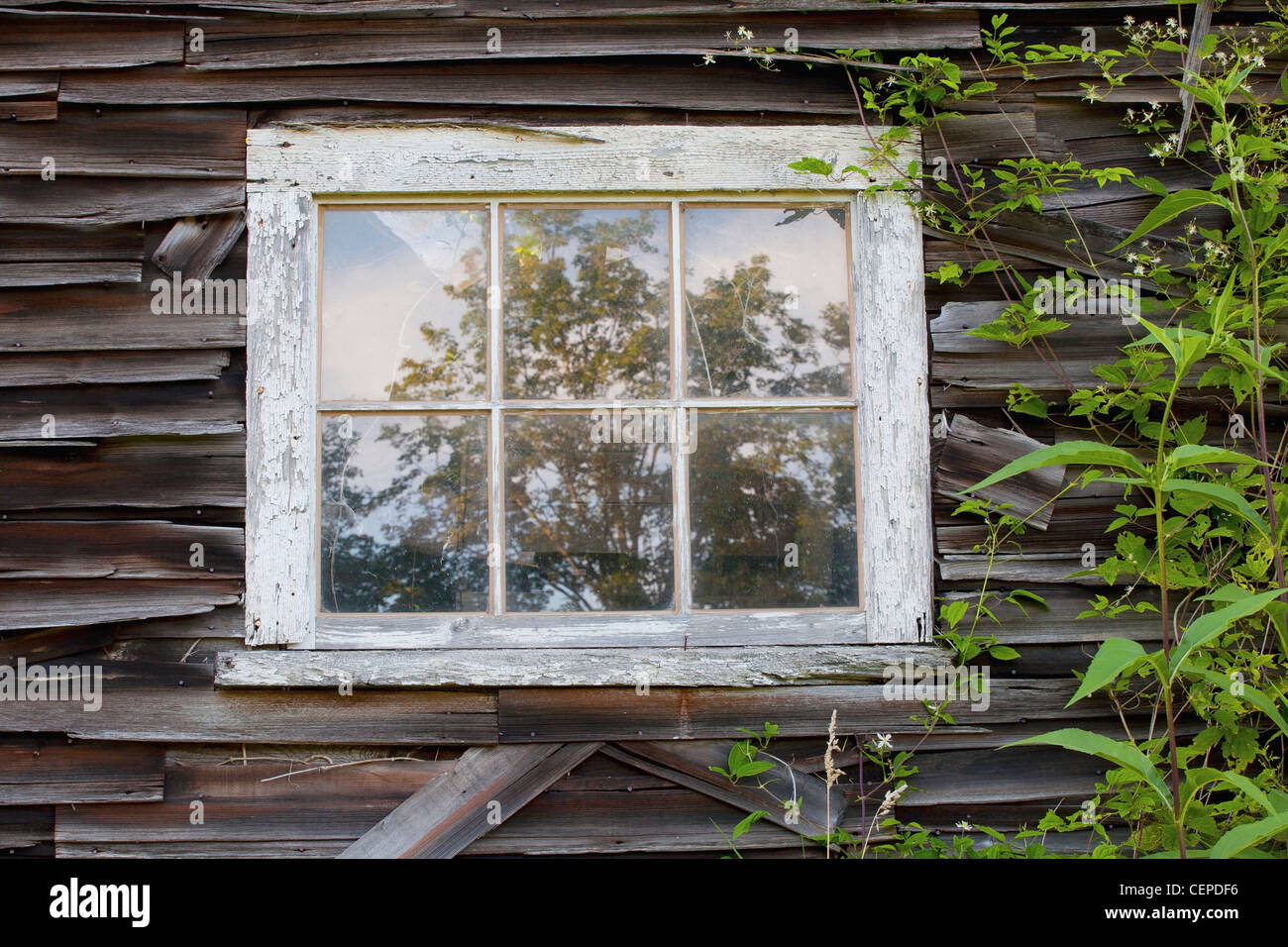 window in an old shed; iron hill, quebec, canada Stock Photo - Alamy