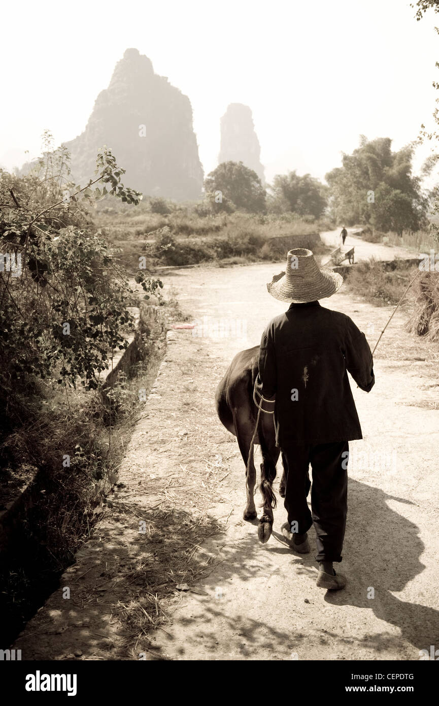 Man Walking Down Road With Water Buffalo Stock Photo - Alamy
