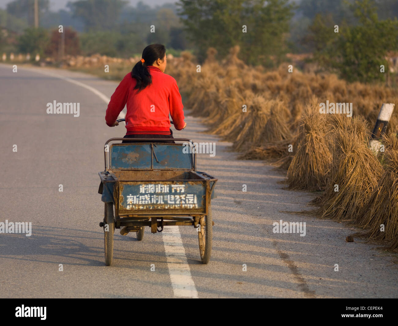 Woman Riding A Bicycle Pulling A Cart; Guangxi Zhuang,China Stock Photo ...