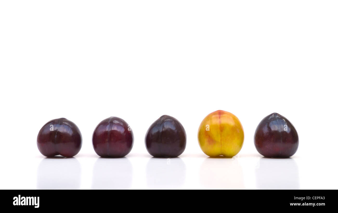 Difference concept Cut Out Stock Images & Pictures - Alamy