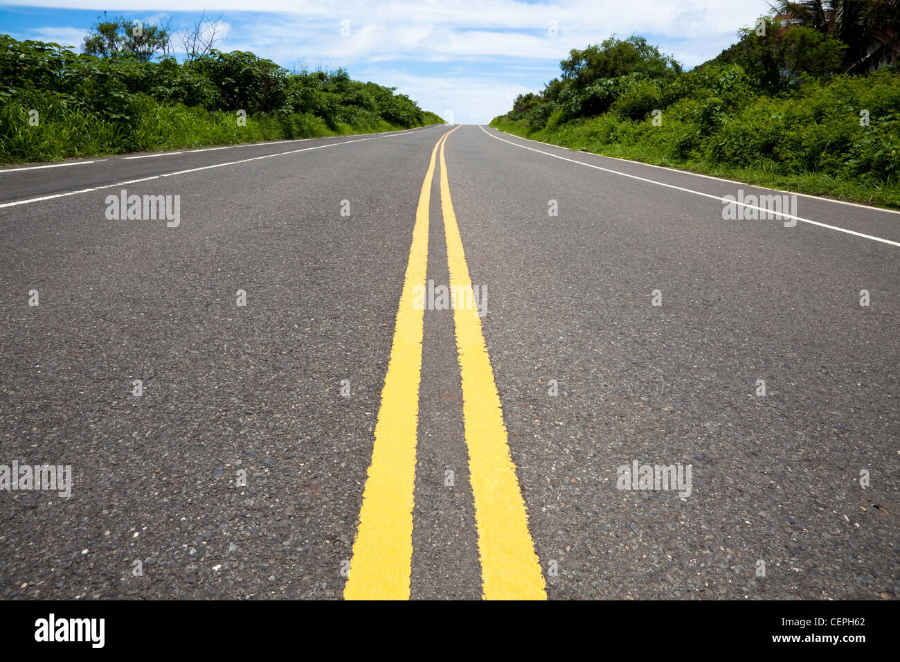 the road pass through the green jugle Stock Photo - Alamy