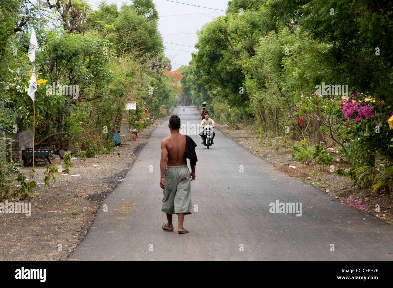 Indonesia bali man plants hi-res stock photography and images - Alamy