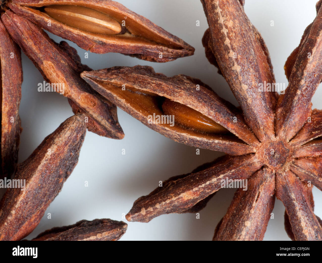 Illicium verum hi-res stock photography and images - Alamy