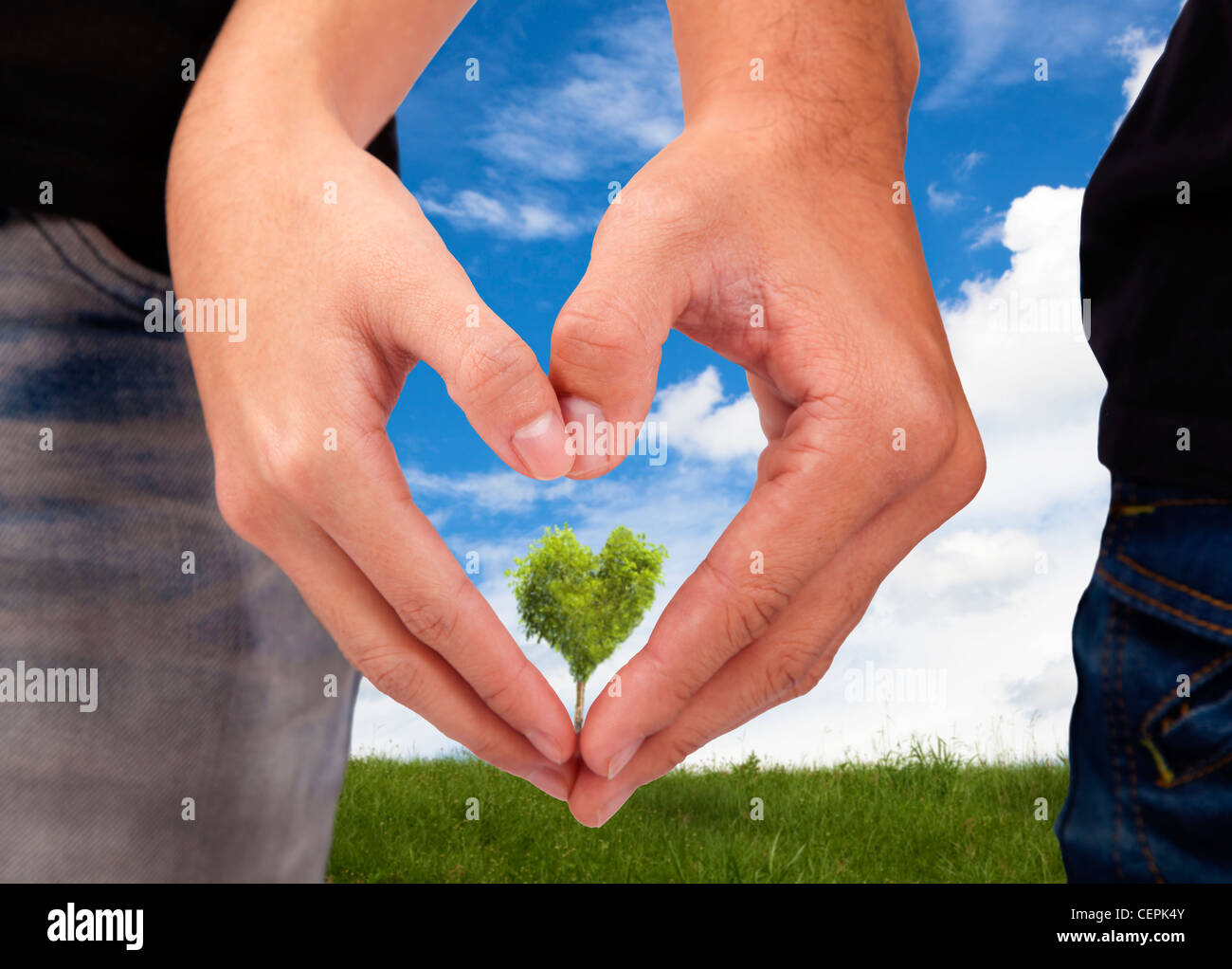 Hands of man and woman forming a heart and green love tree background ...
