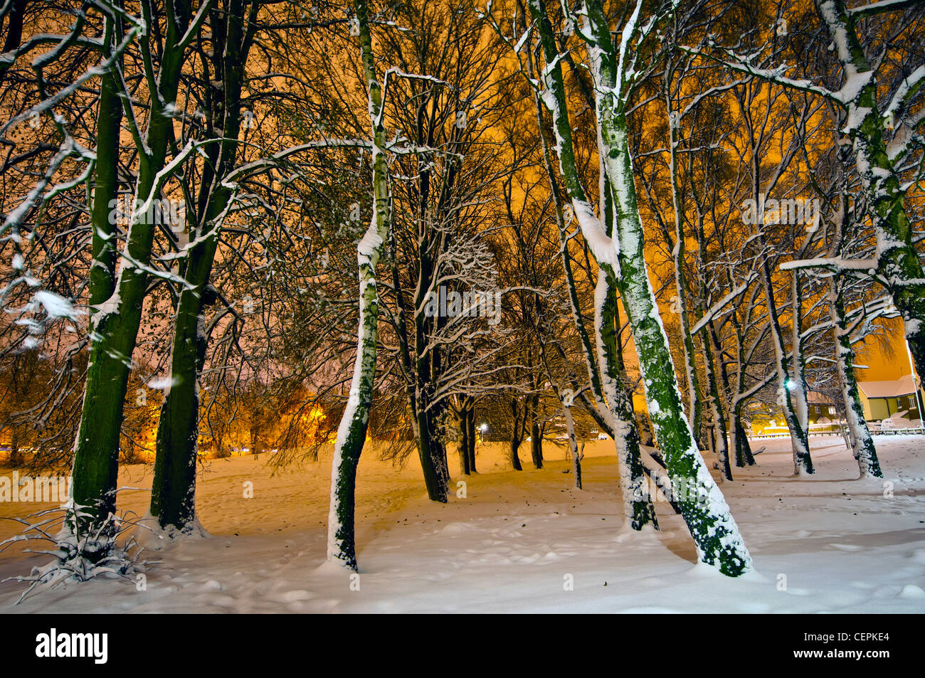 winter snow, biggin hill, westerham, kent, england,uk,europe Stock ...