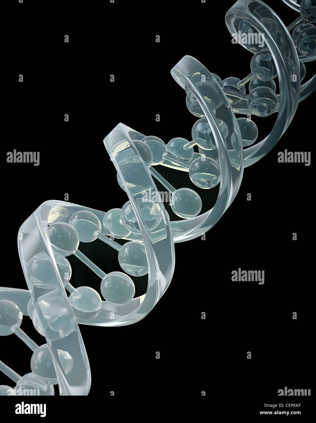 DNA strand - genetics concept illustration Stock Photo - Alamy