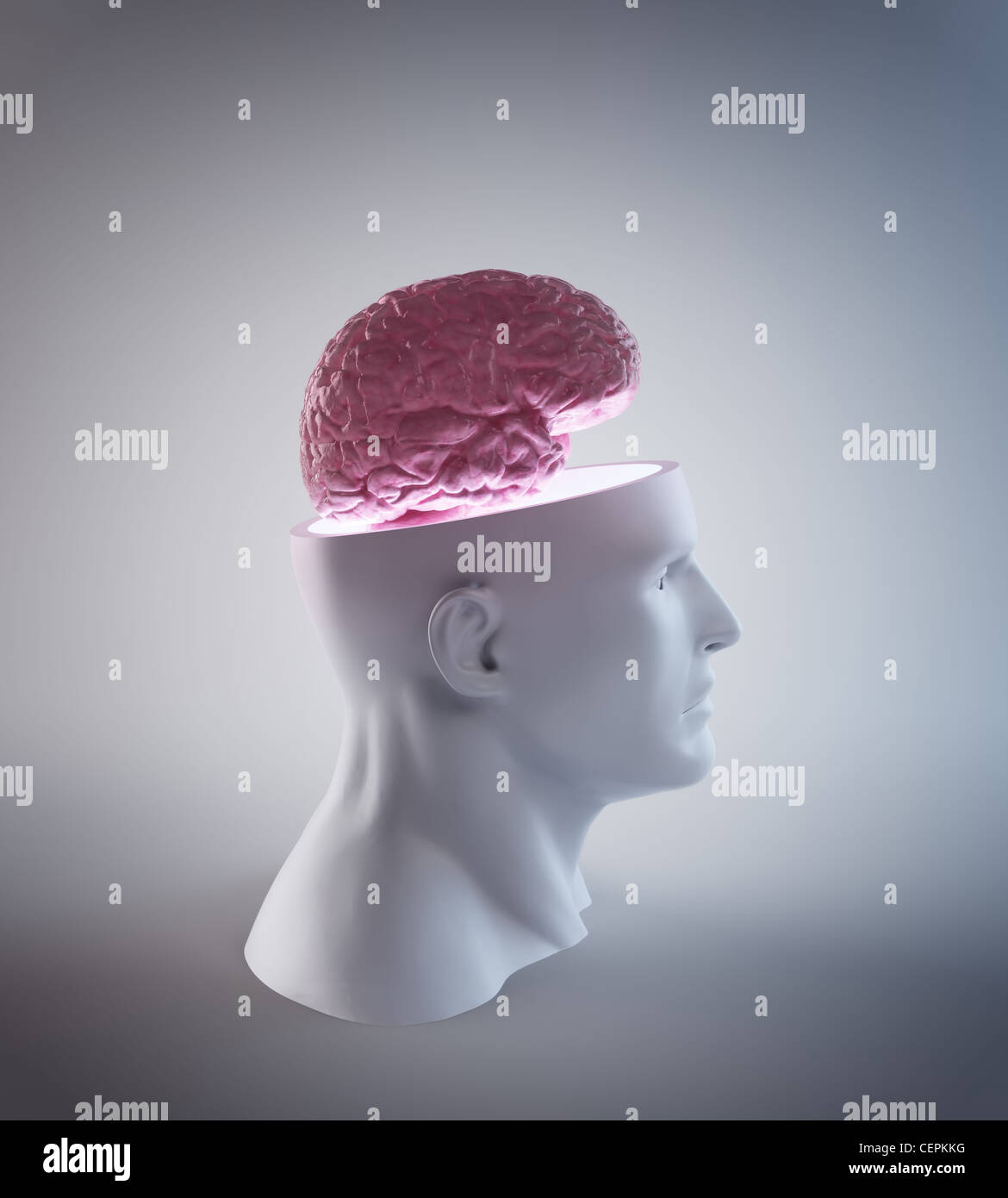 Human Intelligence or psychology concept illustration Stock Photo - Alamy