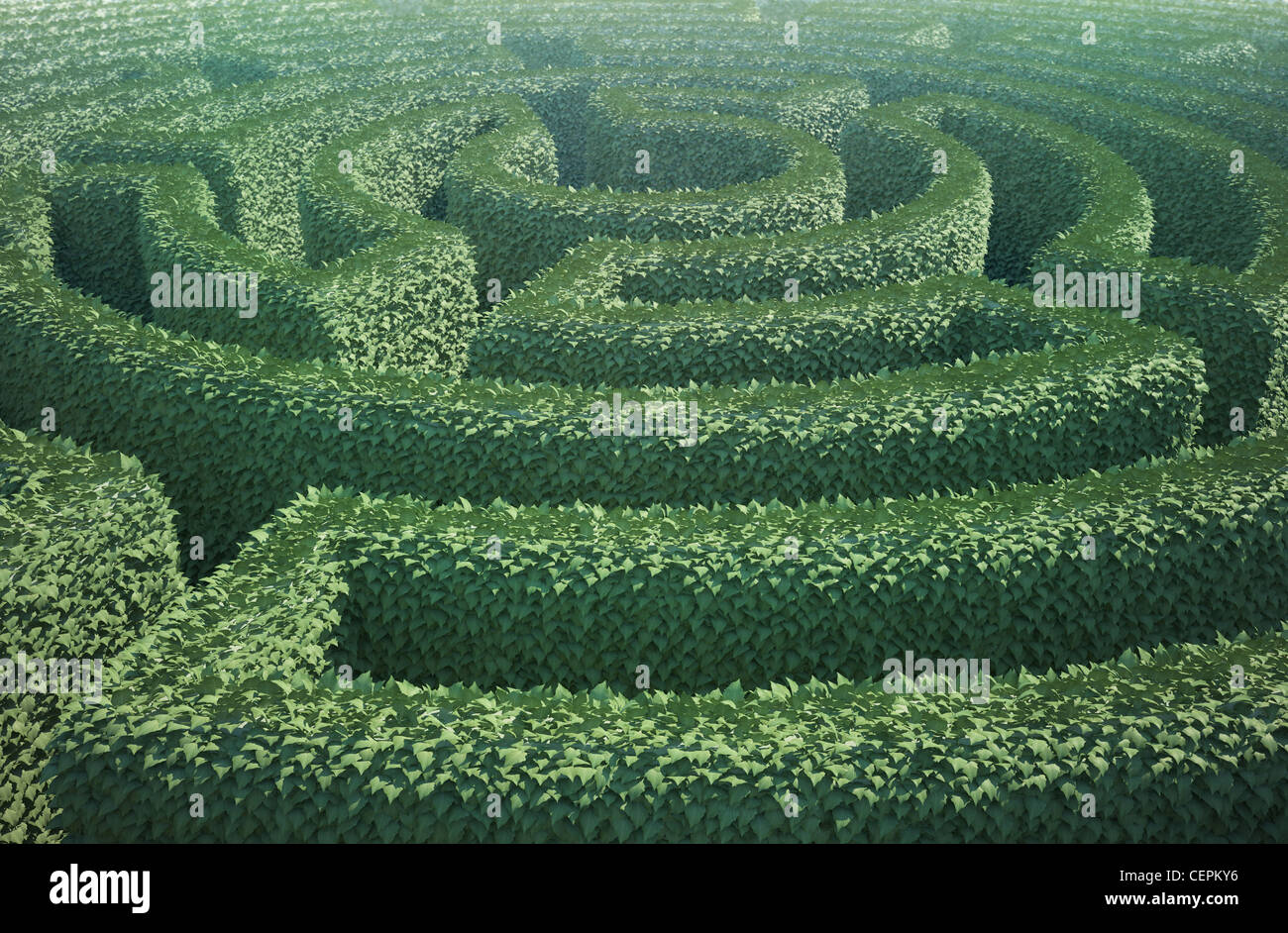 Top view green garden maze hi-res stock photography and images - Alamy